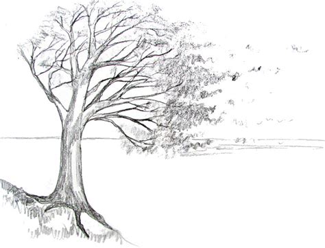 How To Draw A Tree Happy Family Art