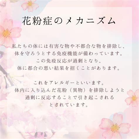 東洋医学と花粉症 NO1 神門鍼灸整骨院 甲東園院