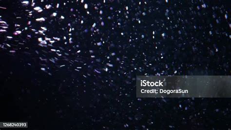 물 속의 검은 배경에 고립 된 공기의 추상 빠른 결정 매크로 버블 공간을 닫고 복사합니다 겨울처럼 검은색에 대한 스톡 사진 및 기타 이미지 Istock