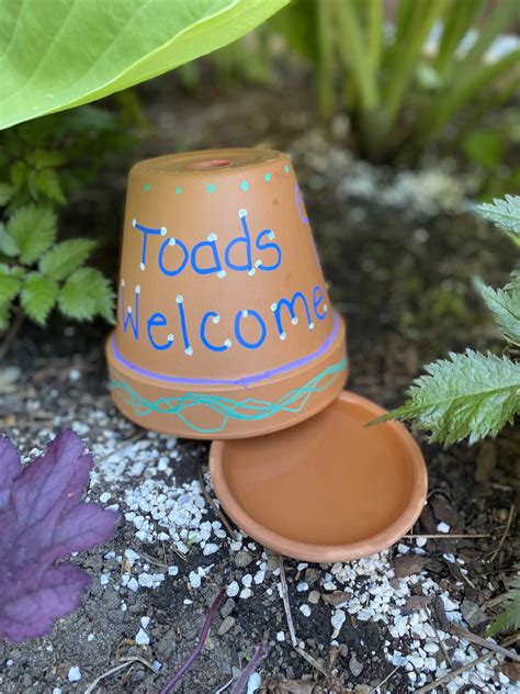 Bee Baths And Toad Houses Allmomdoes