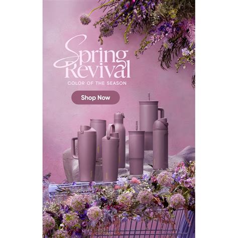 Jual Po New Launch Owala Spring Revival Collections Tumbler Freesip