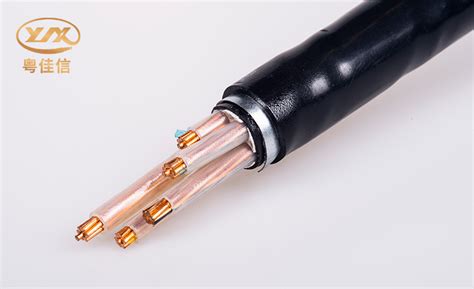 精选防白蚁电缆，电力安全的守护者常见问题