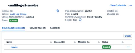 how to implement sap btp audit log service in a ca sap community