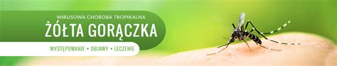 Mark Med Pl Żółta Gorączka żółta Febra