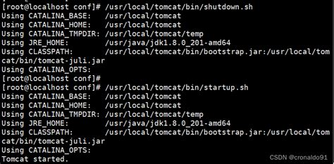 web服务器群集：nginx tomcat实现负载均衡与动静分离集群 csdn博客