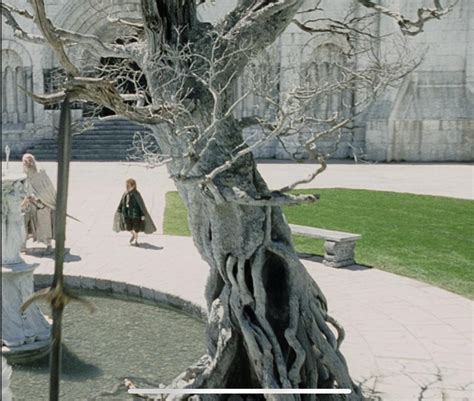 Is My Tree Gonna Be Ok R Lotr