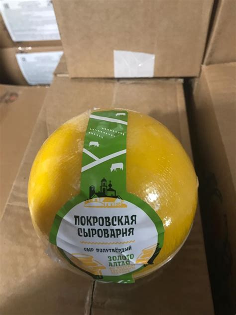 Сыр Золото Алтая со вкусом топлёного молока.: купить в каталоге «МБК ...