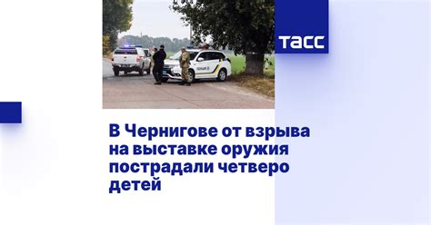 В Чернигове от взрыва на выставке оружия пострадали четверо детей ТАСС
