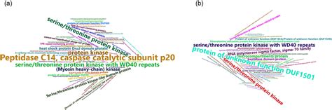 Word Clouds For The Annotations Of Wd40s And Their Neighbouring Genes Download Scientific