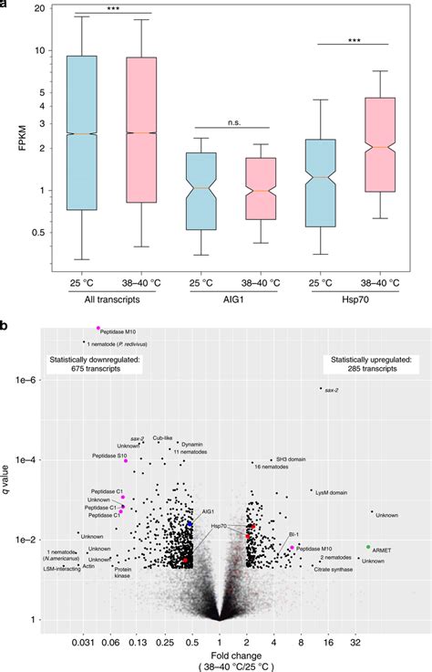 Transcriptome Analysis Of Gene Expression In H Mephisto A Boxplot