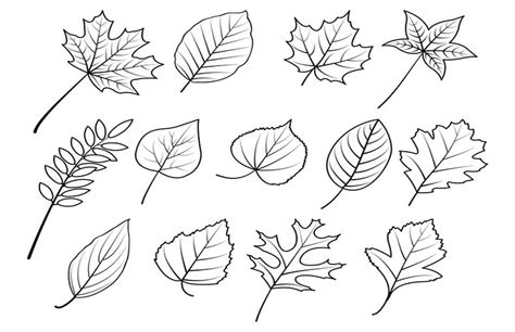 Easy Way To Draw A Leaf