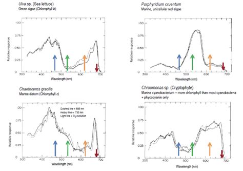 Watr The Smart Water Monitor