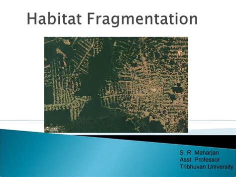 Habitat Fragmentation Srm Ppt