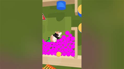 Hamster Maze Level 9 Youtube