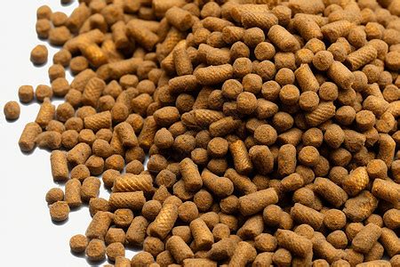 营养丰富的宠物粮食高清图片下载 正版图片600704889 摄图网