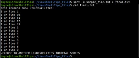 How To Find And Remove Duplicate Lines In A Text File