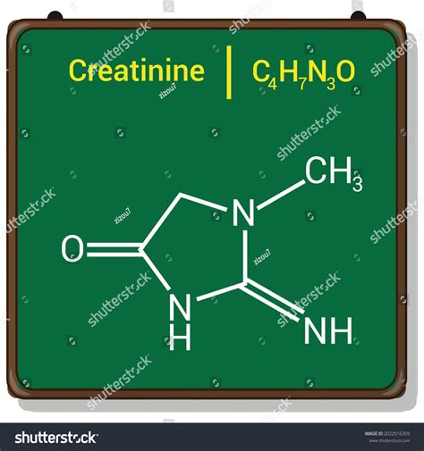 Creatinine Atomic Structure At Jackson Mcpherson Blog
