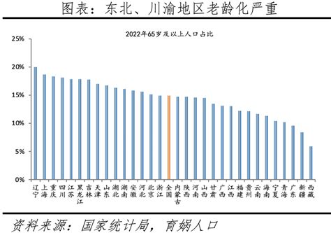2024年全国人口总数中国人口形势报告2024出生人口和生育率可能会有小幅反弹人口网
