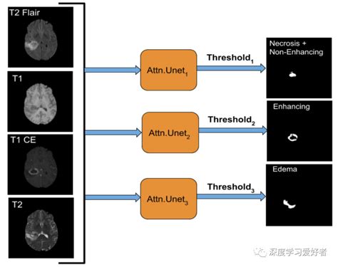 基于多阈值注意u Netmtau的mri多模态脑肿瘤分割模型 Csdn博客