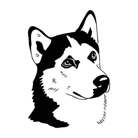 스케치 스타일 손으로 그린 벡터 일러스트 레이 션의 흑백 복고풍 패션 모델 프리미엄 벡터