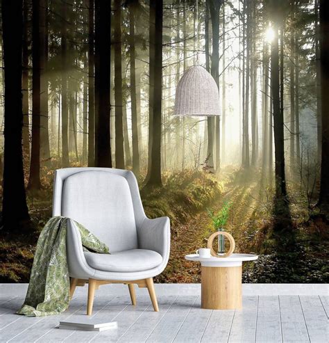 Фотообои лес в тумане 70 фото