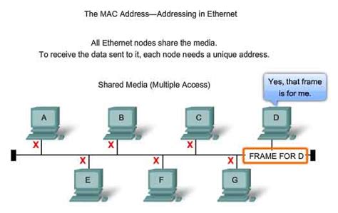How To Convert Mac Address To Binary Sexihidden