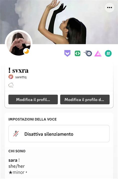 Idol Discord Profile Profilo Voce