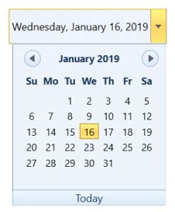 WPF DateTimePicker Control WPF DatePicker Syncfusion