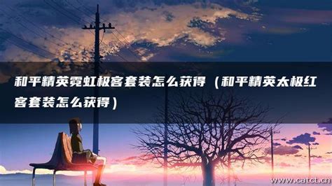 和平精英霓虹极客套装怎么获得（和平精英太极红客套装怎么获得） 牛呀网