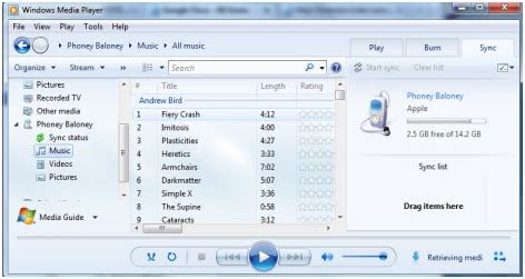 Plug Ins For Windows Media Player You Should Know