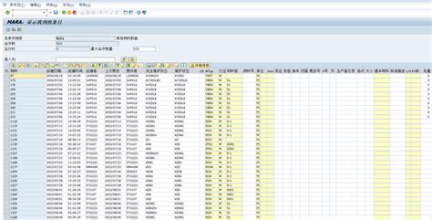 Sap Abap Se11 Se16n 修改标准表慎用sap Se11 Csdn博客