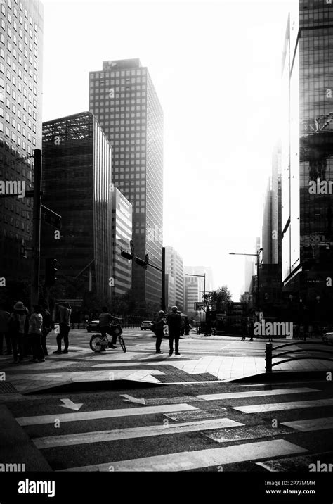 Seoul South Korea May 2019 Seoul Road Crossing Black And White