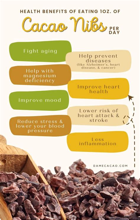 What Are Cacao Nibs Benefits Uses And Faq Cacao Nibs Benefits Cacao Nibs Recipes Cacao