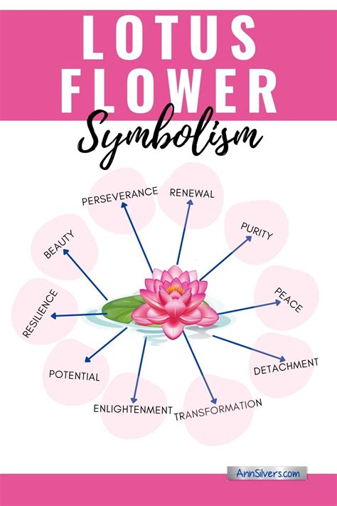 Design Lotus Flower Meaning