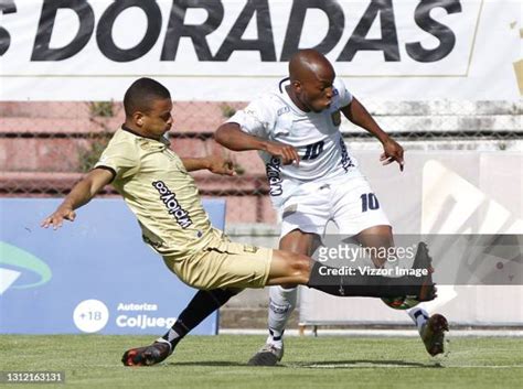 anthony palacios photos and premium high res pictures getty images