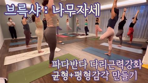엔젤요가 이 정도는 해야 땀나지💦 한발균형자세 나무자세 다리근력강화 균형과평형감각만들기 데일리요가 발바닥뿌리힘 기르기 Youtube