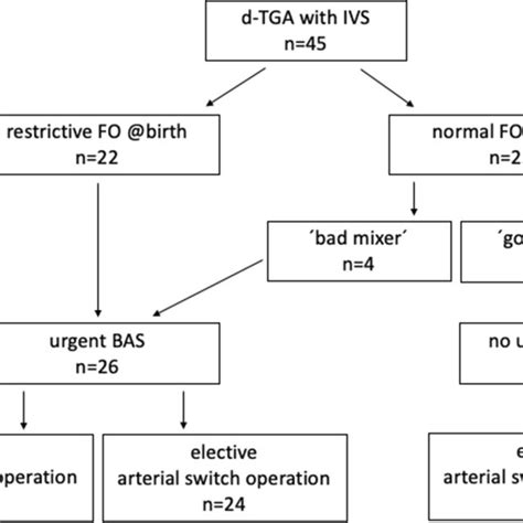 Flow Patterns Of Pulmonary Veins A Continuous Forward Flow With A