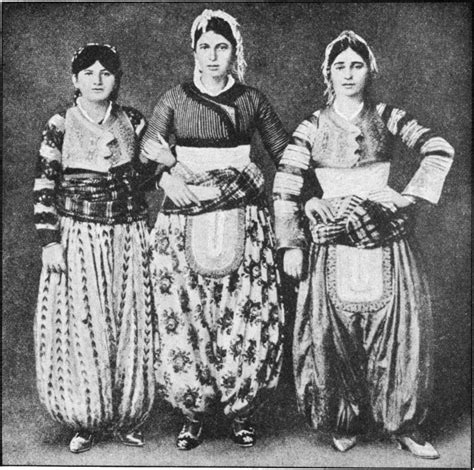 Scutari Junglekey Fr Wiki