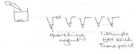 Biochemical Assay Design 1 Direct Vs Quenching Methods Diagram