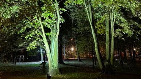 Daniel Rodak Back From The Woods Youtube