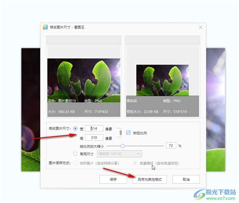 2345看图王怎么设置图片大小和格式 2345看图王调整图片大小和格式的方法教程 极光下载站