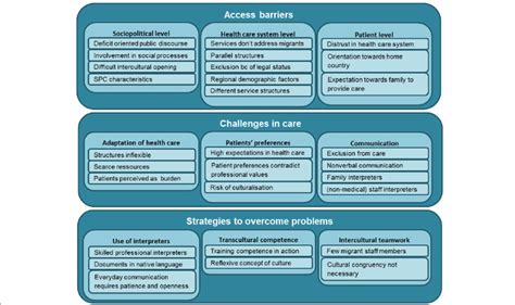 Categories And Themes Emerging In Expert Interviews Download