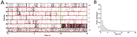 Network Firing Activity During Spontaneous And Stimulated Download Scientific Diagram