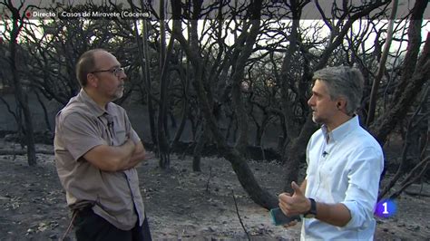 Mario Torralba Mriotorralba Twitter