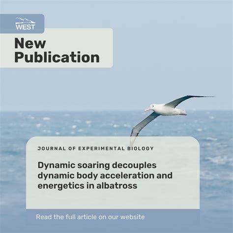 West Publication Dynamic Soaring Decouples Dynamic Body Acceleration And Energetics In