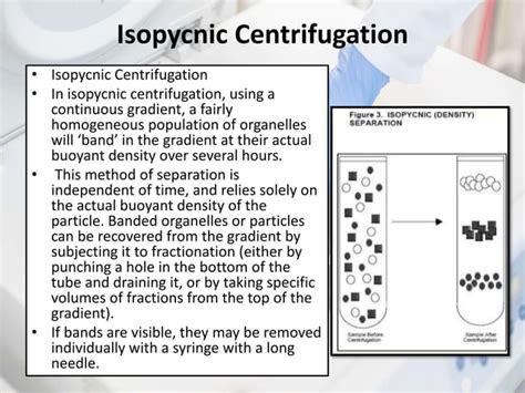 Density Gradient Centrifugation Types Advantages And Disadvantages