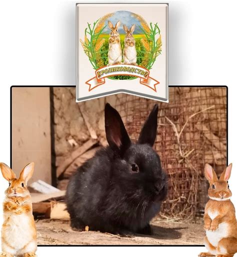 Желаем вам этим утром проснуться с ясными мыслями светлой головой отличным настроем хорошим