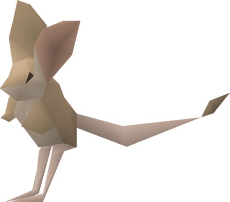 Jerboa Osrs Wiki