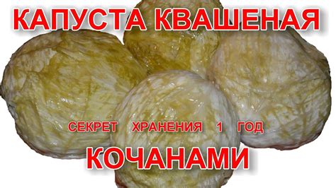 КАПУСТА КВАШЕНАЯ КОЧАНАМИ СОХРАНИЛАСЬ 1 ГОД. СЕКРЕТ КВАШЕНОЙ КАПУСТЫ ...