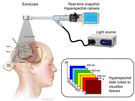 Computational Extraction Of Semantic Information From Hyperspectral